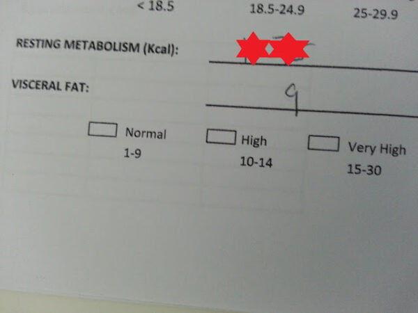Visceral Fat Kembali Normal